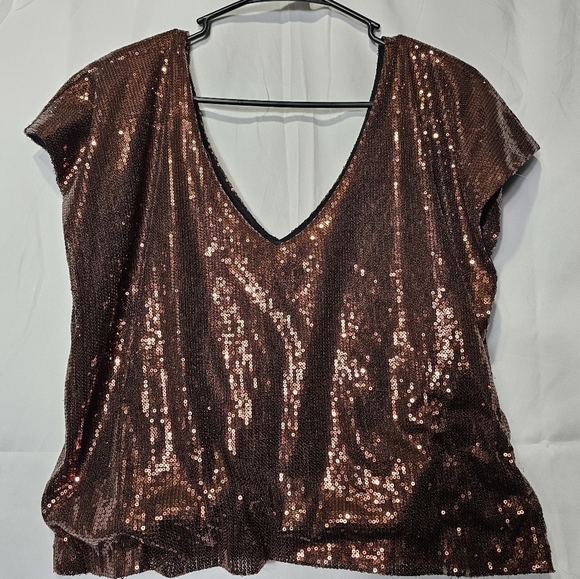 Sam & Lavi | Tops | Sam Lavi Large Sequence Golden Brown Top | Poshmark